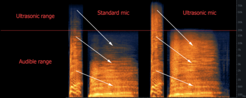 Everything you need to know about pitch shifting | Nicolas Titeux